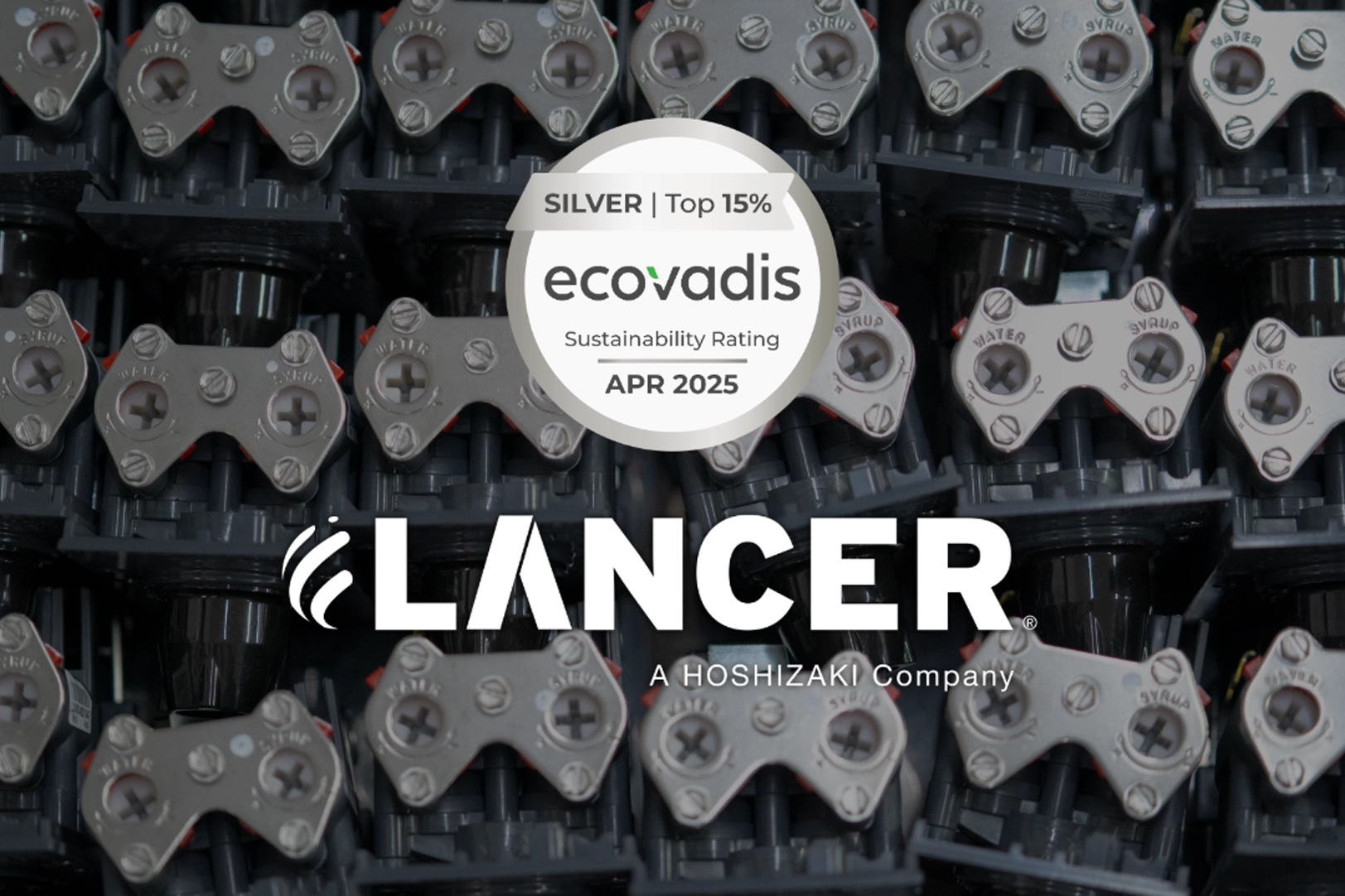 Lancer Worldwide Sustainability Excellence Recognized with 2025 Silver ...